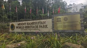 Discover the Magical World of Mount Hamiguitan | #1 Breathtaking ...