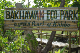 Bakhawan Eco Park: A Refreshing Break from the Chaos of City Life